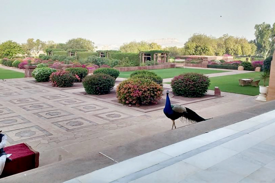 Umed Garden Zoo Jodhpur (Timings, Entry Fee, Safari, Images, Reviews ...