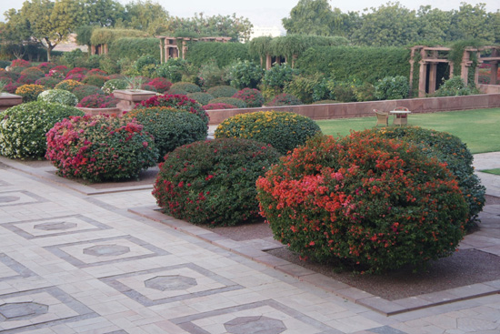 Umed Garden Zoo Jodhpur (Timings, Entry Fee, Safari, Images, Reviews ...